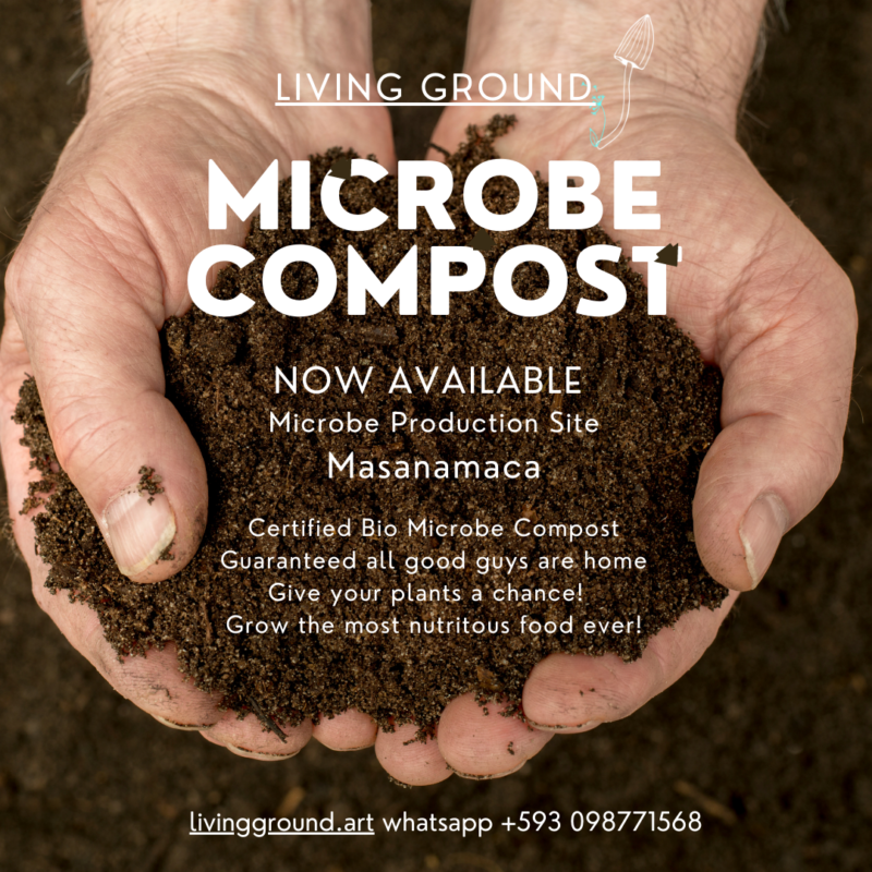 How To Care For Microbe Compost - Living Ground